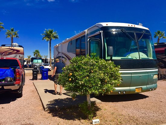 Best RV Parks in Mesa, AZ – RV Expertise