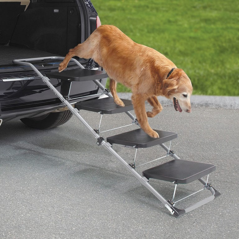 Dog Ramps for RVs – Look After Your Best Friend on the Road – RV Expertise