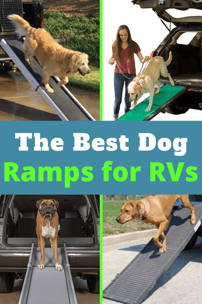 Dog Ramps for RVs – Look After Your Best Friend on the Road – RV Expertise