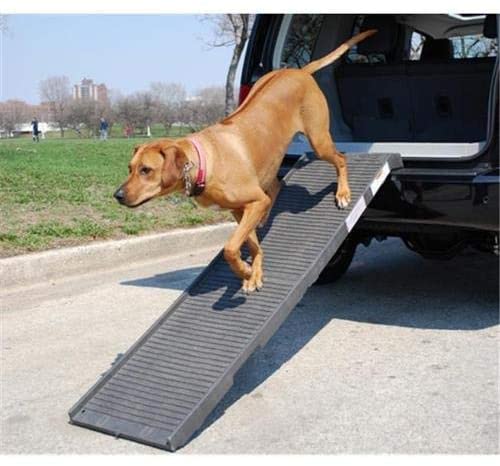 Dog Ramps for RVs – Look After Your Best Friend on the Road – RV Expertise